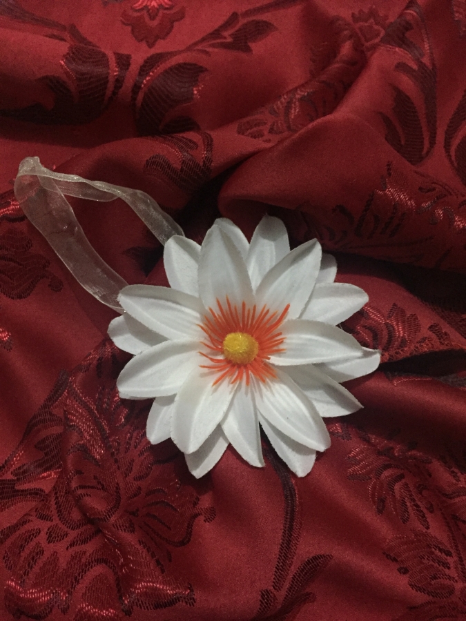Draperie Cu Model Regal Rosu-negru, Otto House