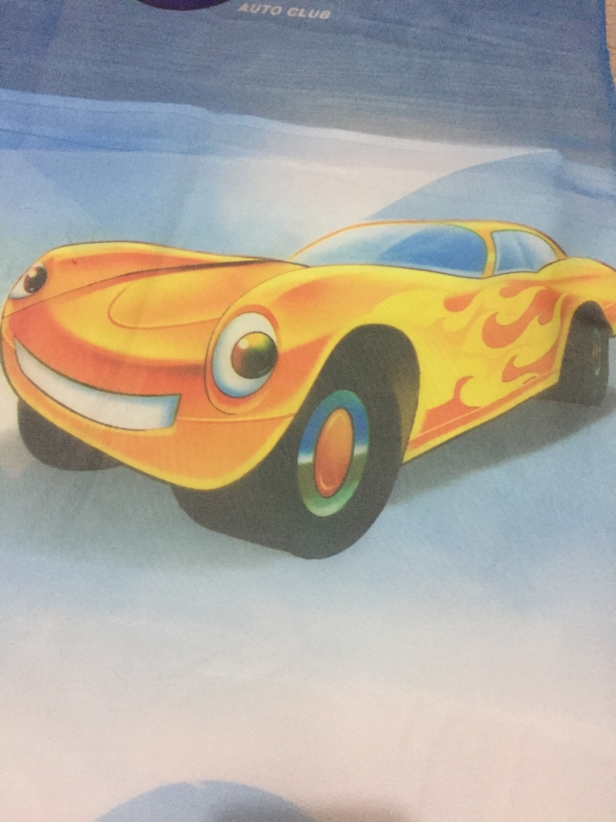 Perdea Cars Albastra, Otto House