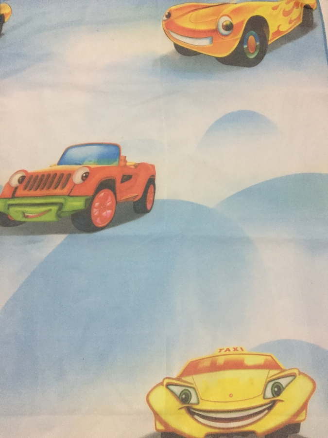 Perdea Cars Albastra, Otto House