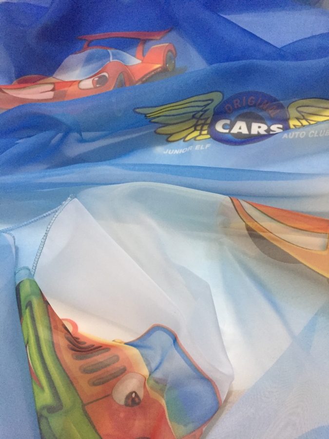 Perdea Cars Albastra, Otto House