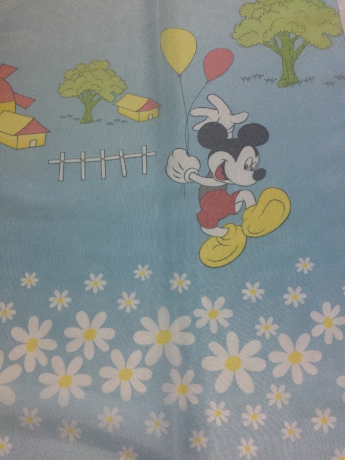 Perdea Copii Mickey Mouse, Otto House