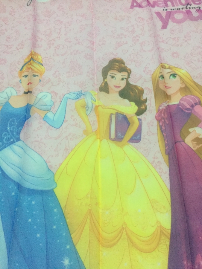 Perdea Copii Printese Disney Roz, Otto House